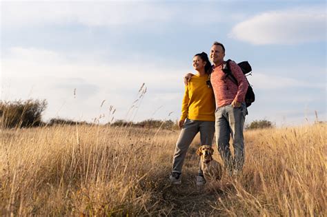 따뜻한 날에 강아지와 함께 가을 들판과 언덕을 하이킹하는 젊은 부부 주말 레저 스포츠 커플에 대한 스톡 사진 및 기타 이미지 커플 야외 행복 Istock
