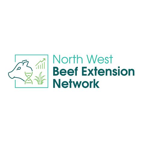North West Beef Extension Network Reasy Design Web Design Graphic