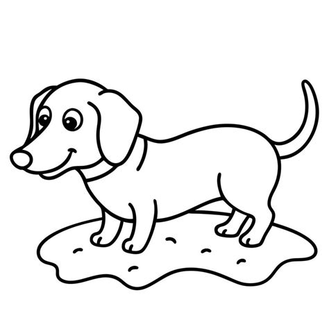 Perro Salchicha Para Colorear Para Niños 46965570 Vector En Vecteezy
