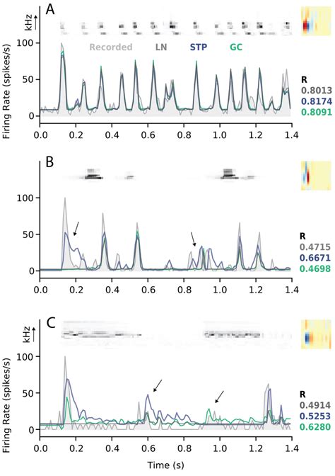 Example Model Fits And Predictions A Results From A Neuron For Which