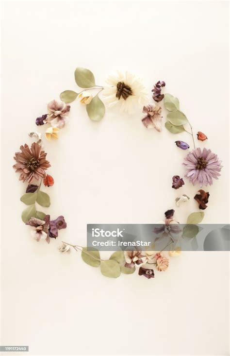 꽃은 배경을 화환 흰색 배경에 말린 꽃과 유칼립투스 잎 패턴에서 조성물 꽃 카드입니다 상단보기 평평한 누워 공간을 복사합니다 최소한의 개념 0명에 대한 스톡 사진 및 기타