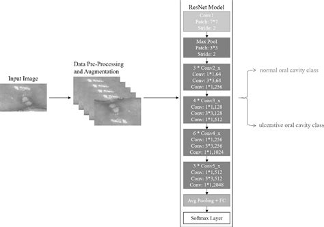 Figure 1 From Real Time Classification On Oral Ulcer Images With Residual Network And Image