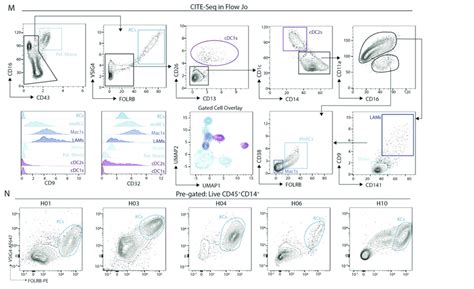 fig s5 combination of cite seq scrna seq snrna seq and spatial download scientific diagram