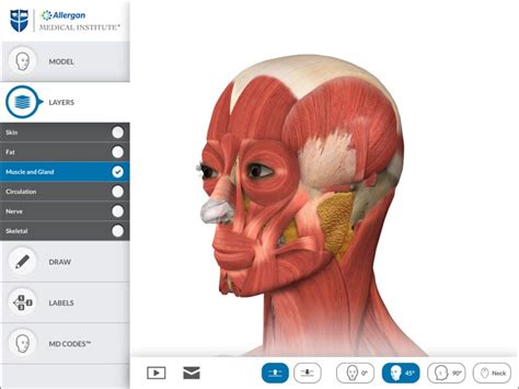 Interactive Anatomy Tw By Allergan Inc