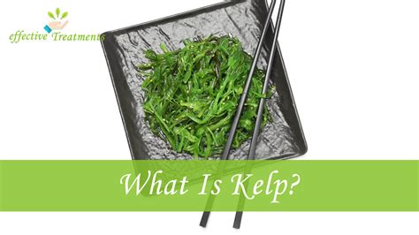 Top 7 Kelp Health Benefits Your Body Is Starving To Get