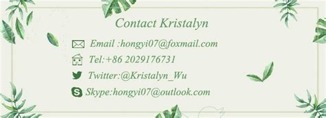 Custom Inflatable Sexy Girl Suit By Hongyi Big Boobs Dress