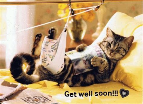 Get Well Soon Cat 