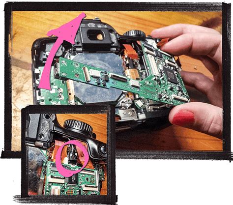 Guide To Convert Your Dslr To A Full Spectrum Camera 42west