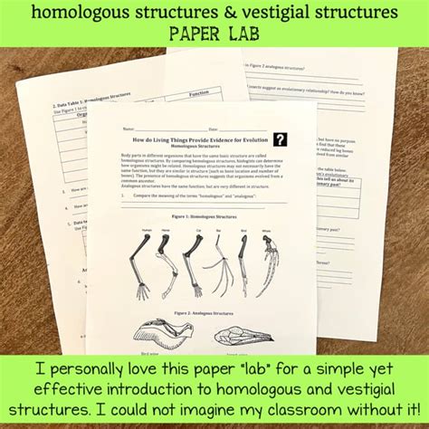 Evolution Homologous And Vestigial Structures Practice Lab By Biology