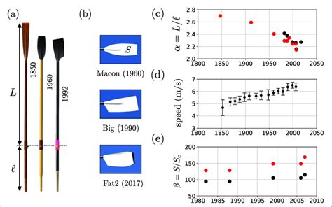Rowing Oar Dimensions