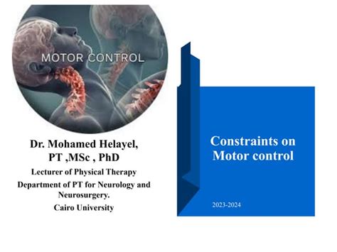 Theories Of Motor Control Pptx