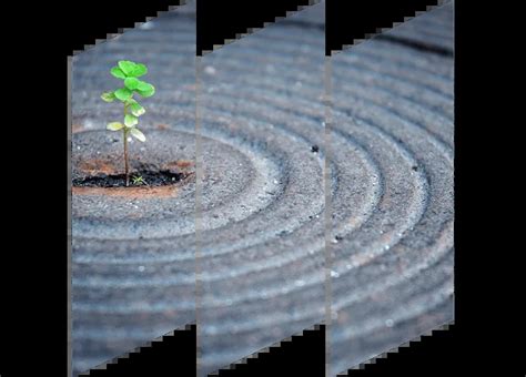 Scibite Technology That Unlocks Scientific Data Elsevier