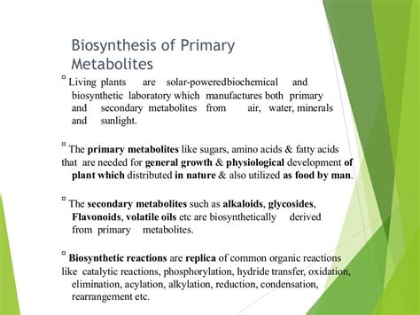 Introduction To Biosynthetic Pathway Pdf
