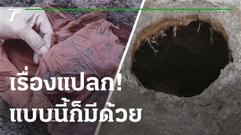 เรื่องแปลก แบบนี้ก็มีด้วย 14 09 65 ตะลอนข่าว Youtube