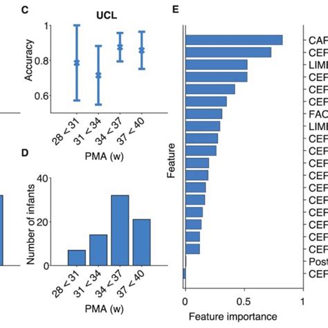 Overview Of Classification Performance And Feature Importance Estimates A Download