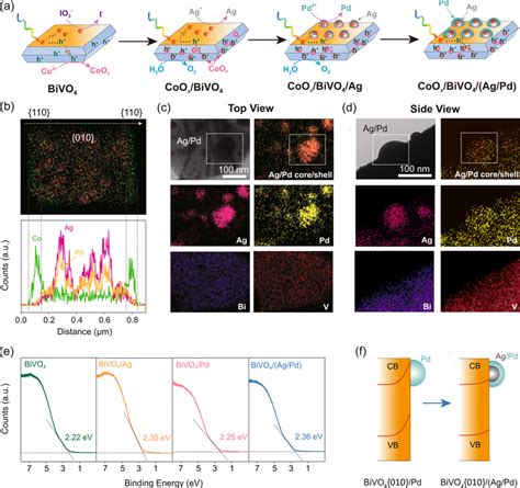 Facet Selective Loading Of Cocatalysts On Bivo4 And Interfacial Download Scientific Diagram