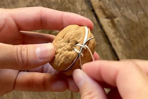 110 Walnut Shell Crafts Ideas Walnut Shell Crafts Shell Crafts