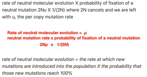Pob Ii Midterm 2 Evolution Phylogeny Ecology Flashcards Quizlet