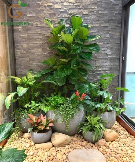 Pin De Meltem Em Bahçe Tasarım Jardins Pequenos Idéias De Jardinagem Jardinagem E Decoração