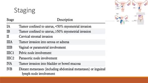 Endometrial Hyperplasia And Cancer Uterus Ppt
