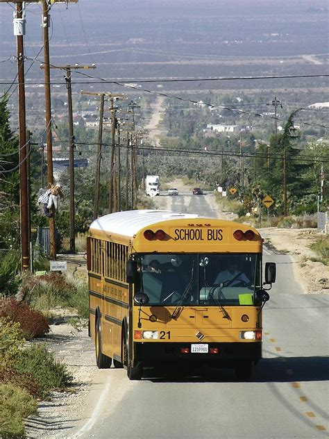 Bus School Vehicle Free Photo On Pixabay Pixabay