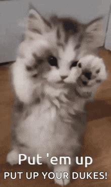 Put Em Up S Tenor