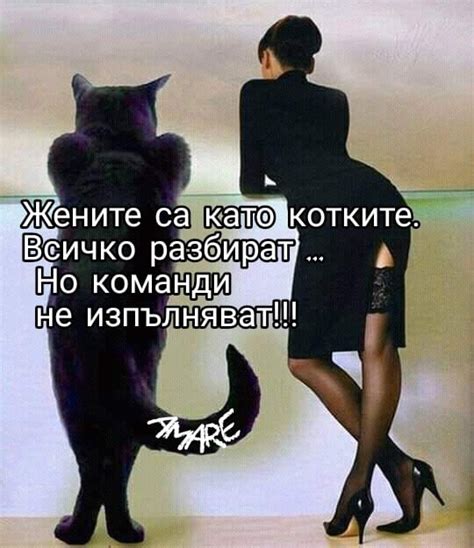 Ефективно професионално развитие по чужд език Cpd Facebook