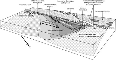 Open Coast Tidal Flats Pdf Download Available