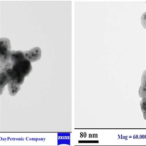 Tem Image Of Fe3o4 Sio2 Aptes Immph Ni²⁺ Download Scientific Diagram
