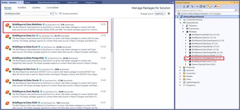 How To Add The Data Source Extension In Bold Reports