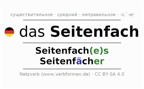 Cклонение Seitenfach Все формы множественное число правила речевой вывод Netzverb Словарь