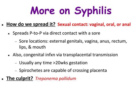 Ppt Syphilis Powerpoint Presentation Free Download Id3085470