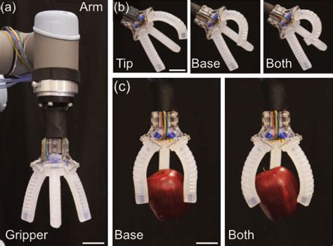 modular soft robotic gripper mechatronics engineering