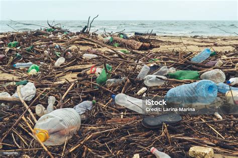 대도시의 해변에 쓰레기를 흘 렸 습니다 빈 사용 더러운 플라스틱 병 검은 바다의 더러운 바다 모래 해안 환경 오염 생태 문제 0명에 대한 스톡 사진 및 기타 이미지 Istock