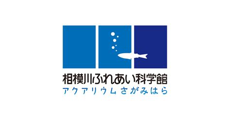 スタンプトートバッグ有料ワークショップ開催について 相模川ふれあい科学館 アクアリウムさがみはら