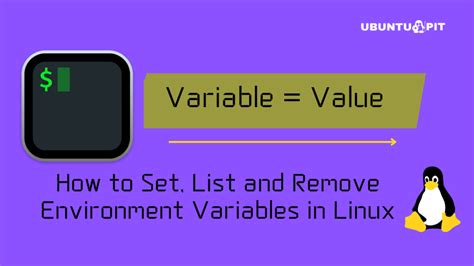 How To Set And List Environmental Variables In Linux Artofit