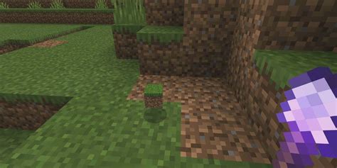 How To Get Rid Of Grass Blocks In Minecraft At Margie Barker Blog