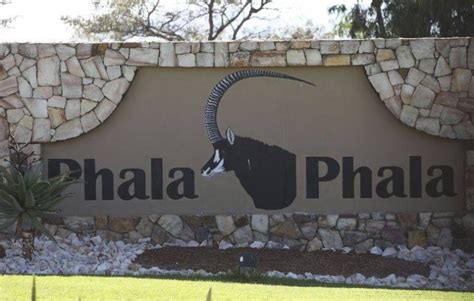 Two Arrested In Phala Phala Farm Robbery