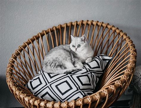 Выбираем мебель для дачи ротанг против дерева и пластика