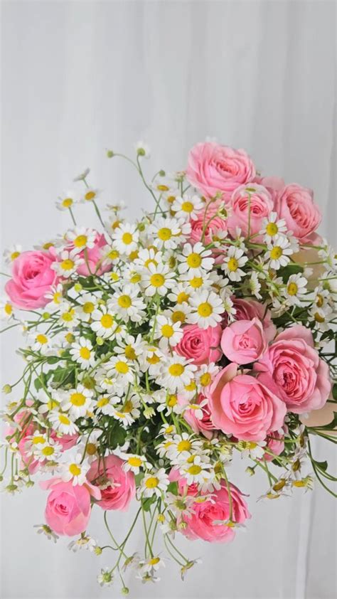 88꽃화훼유통 창원꽃집 추천 성산구꽃집 사파동꽃집 꽃다발 꽃바구니 에코화환 전국꽃배달 마산꽃 진해꽃 88이~ 좋아하는~ 랜덤~ 플라워~🩷 포장 Start 😍 ︎• ︎