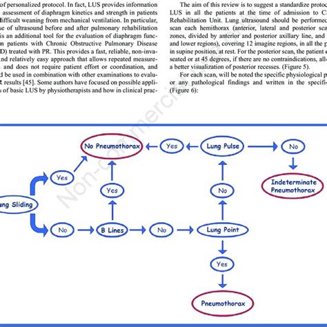 Flow Chart On Diagnosing Pneumothorax This Flow Chart Suggests The Download Scientific Diagram