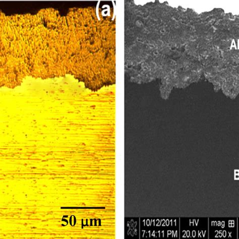 Optical Microstructure And Sem Image Of The Coating Download Scientific Diagram
