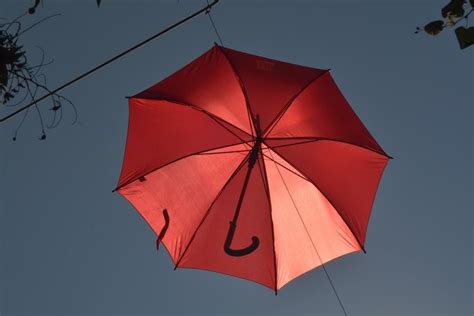 ‘sex Work Not Viable Highland Post