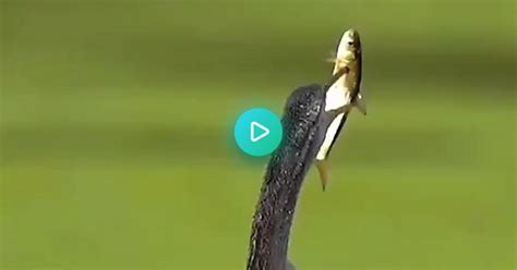 Clever Album On Imgur