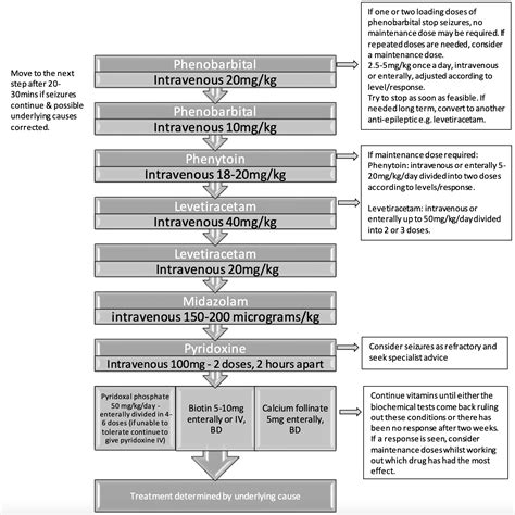 Neonatal Seizure Medications