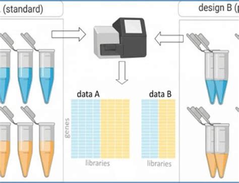 RNA Extraction Method Read Length And Sequencing Layout Single End Versus Paired End
