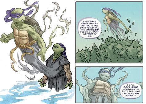 Tmnt Donatello Is Following Venus De Milos Mystic Path