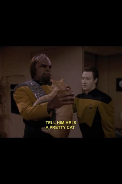 Pin By Emma Golding On Cats Star Trek Trek Pretty Cats
