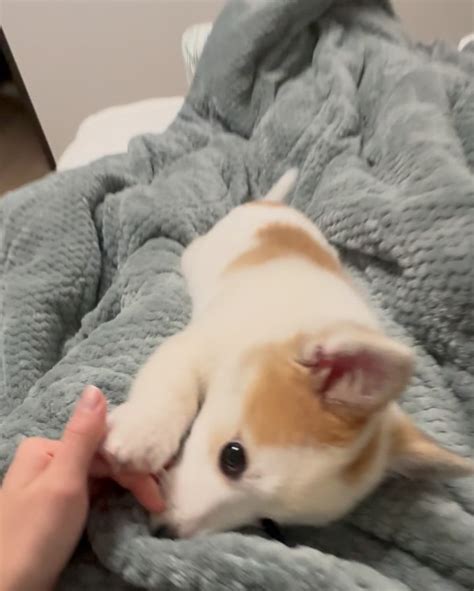 준배 Im Jun Bae • Instagram Photos And Videos