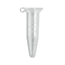 Qsp Microtube 06 Ml จบ ใส 304 Mm จำนวนมาก รวม 1000 ชิ้น ใส